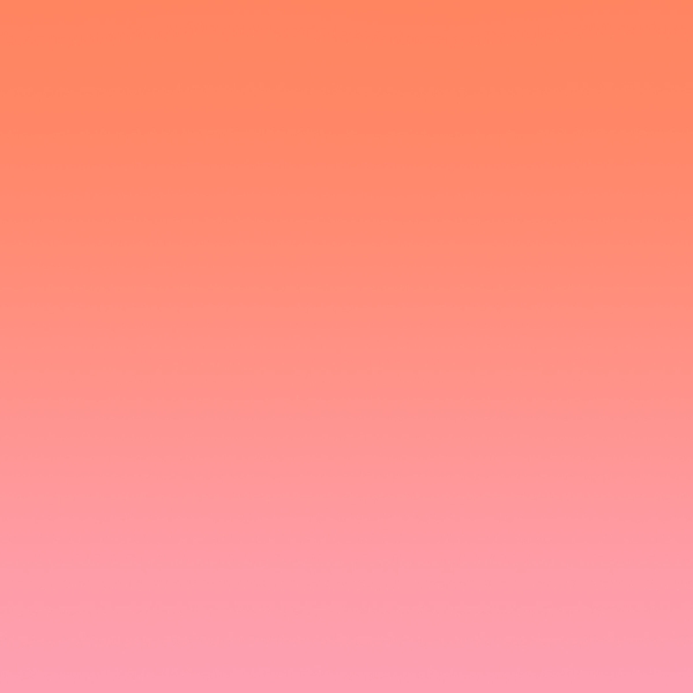 Plan your visit / Newday